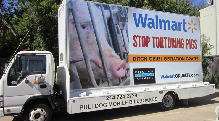 Nov 29 - Life-Threatening “Superbugs” Found in 80% of Walmart Pork
